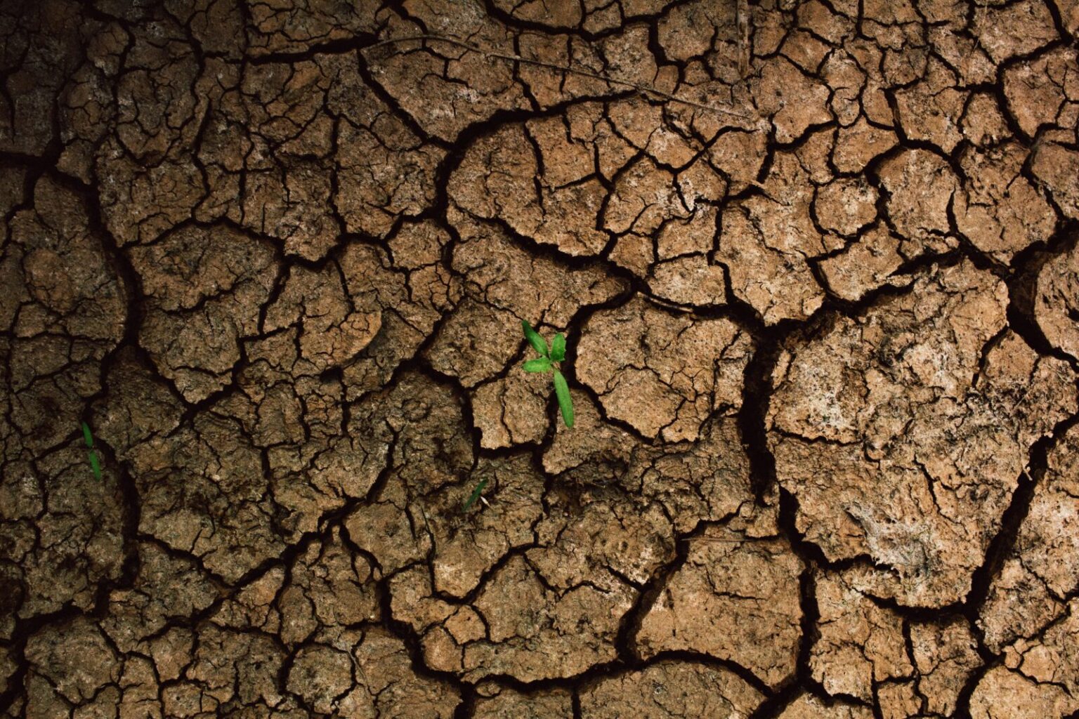 Invitation to the Summer School “Multi-Level Drought Monitoring and ...